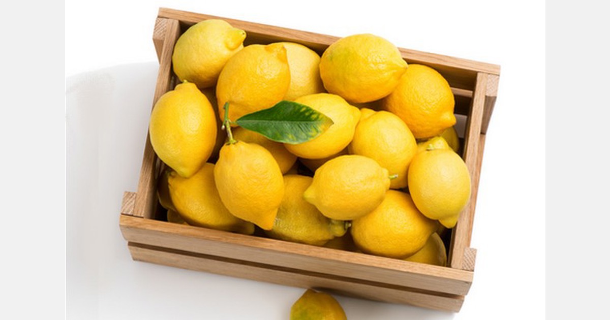 Lemon surplus in Spain points to supply chain challenges