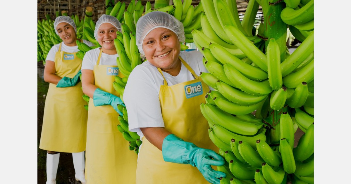 Banana sustainability strategy to be unveiled in Monterey