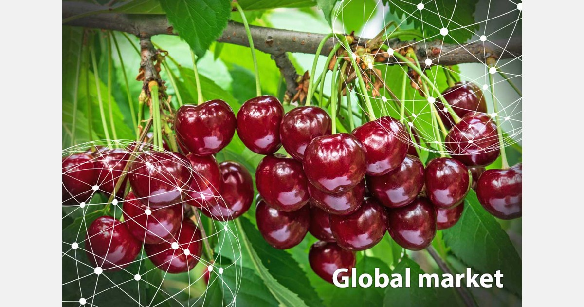 GLOBAL MARKET OVERVIEW CHERRIES