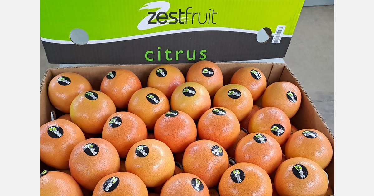 “More South African citrus exporters send fruit to Russia than in the past”