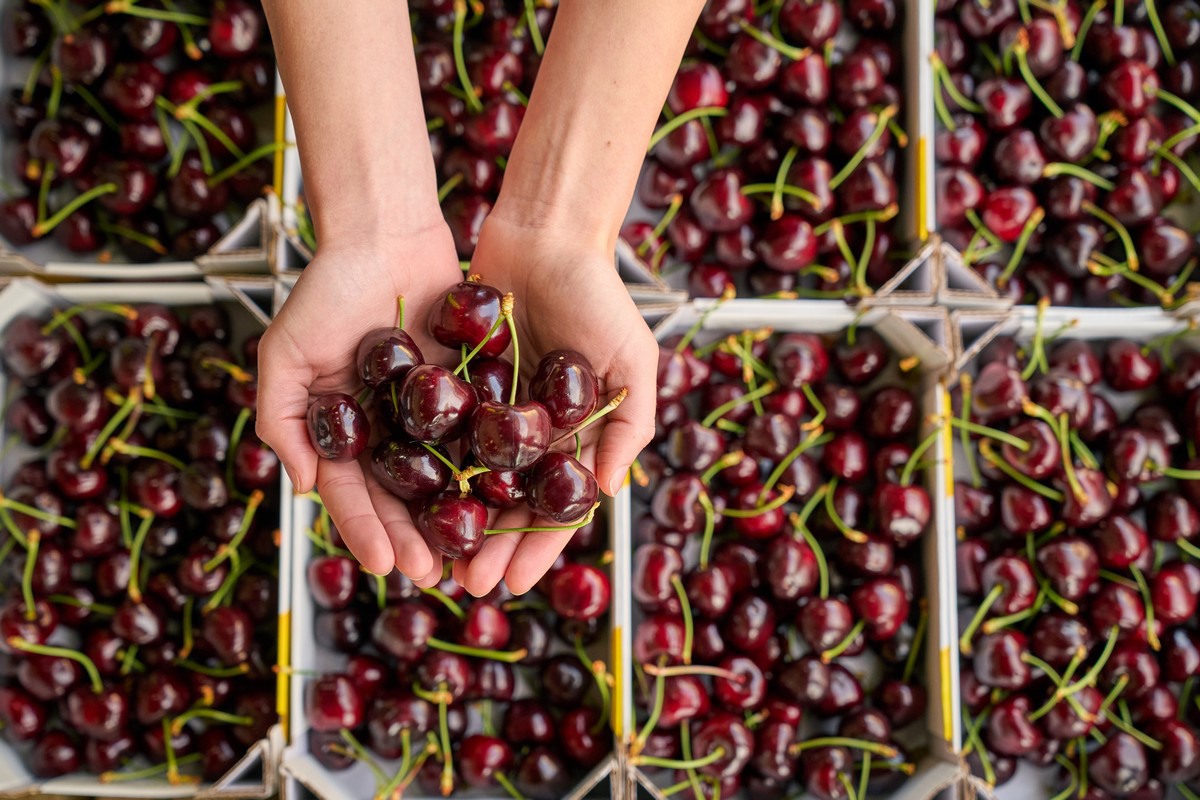 91% of Brits prefer to buy British cherries over imported ones