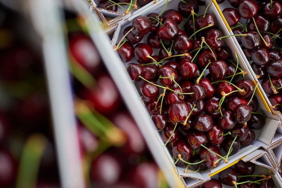 91% of Brits prefer to buy British cherries over imported ones