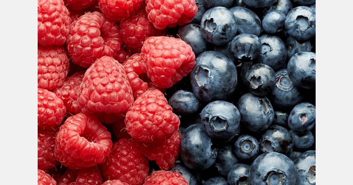 Raspberry and blueberry production up in Huelva