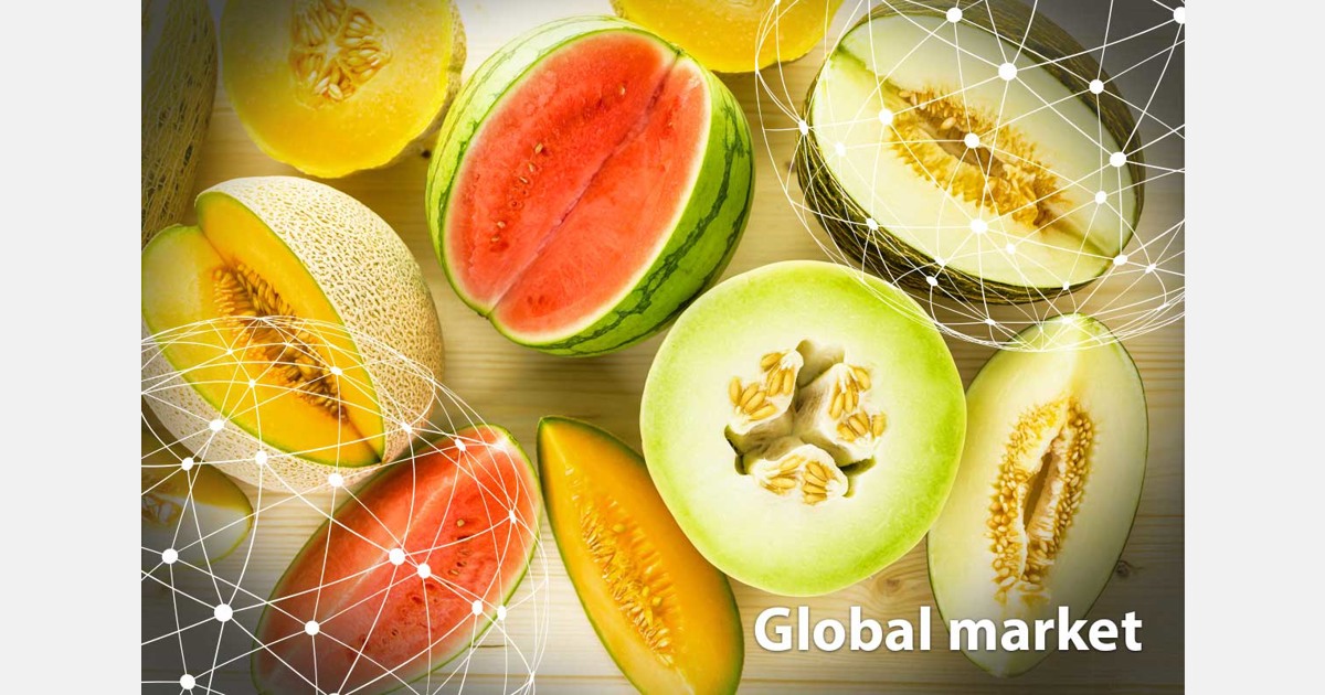 GLOBAL MARKET OVERVIEW MELONS