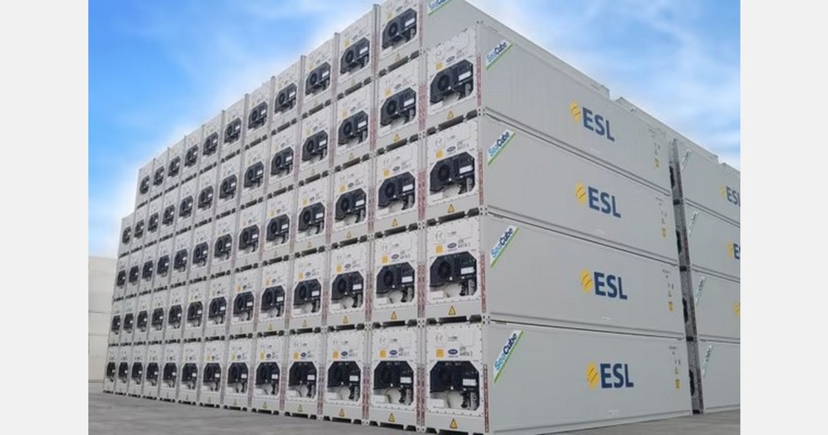 Emirates Shipping Line enters refrigerated shipping with Carrier ...