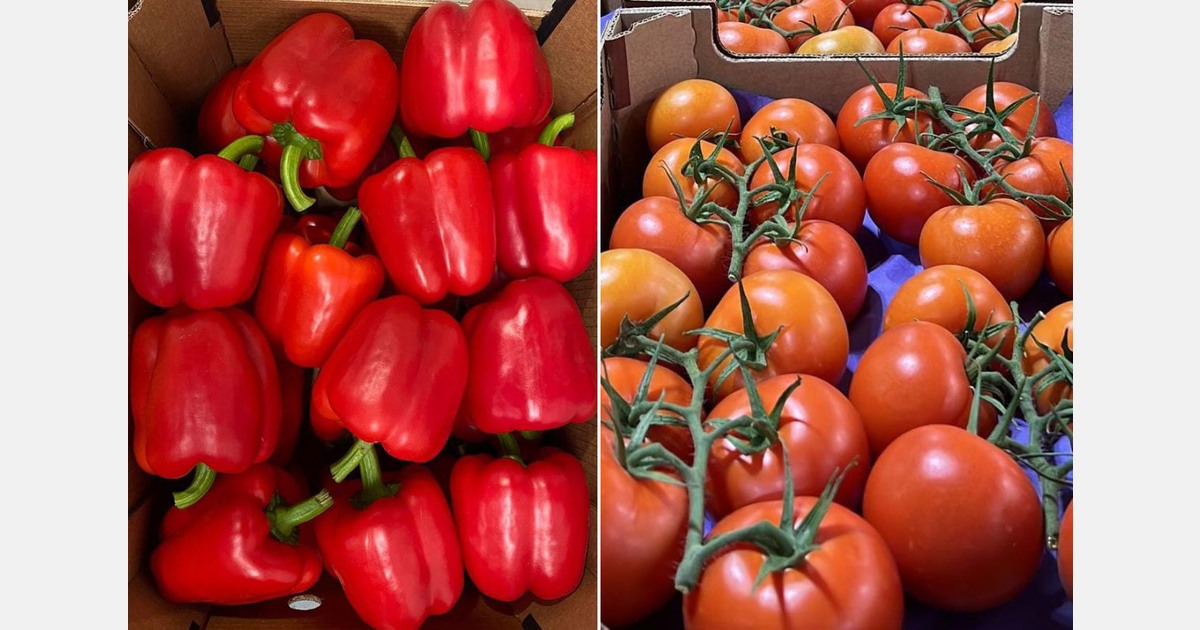 Early Moroccan vegetables: mixed results for a difficult season