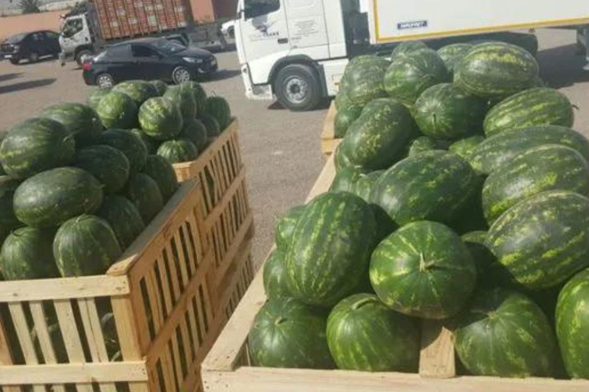 Can Mauritania and Senegal fill the gap left by Moroccan watermelons ...