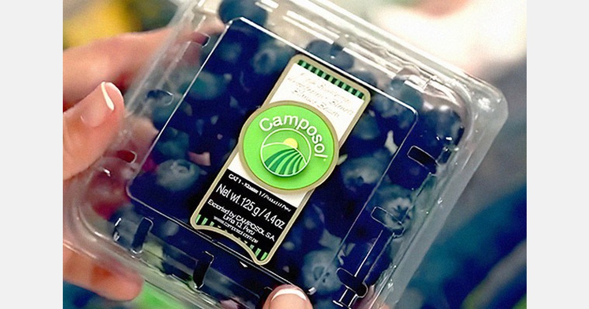 Camposol's strategy in Peru has encompassed procurement of blueberries ...