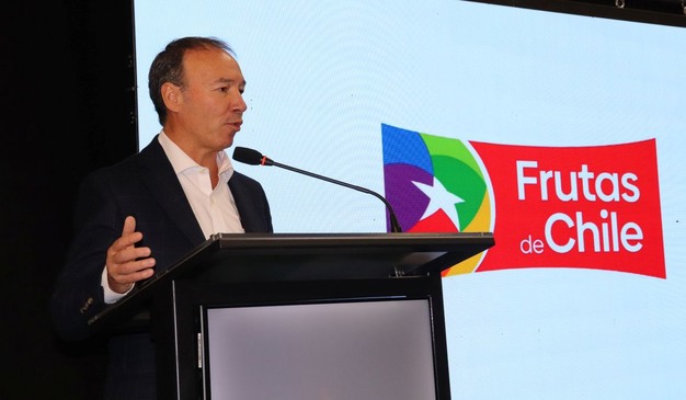 Systems Approach approved for Chilean grapes