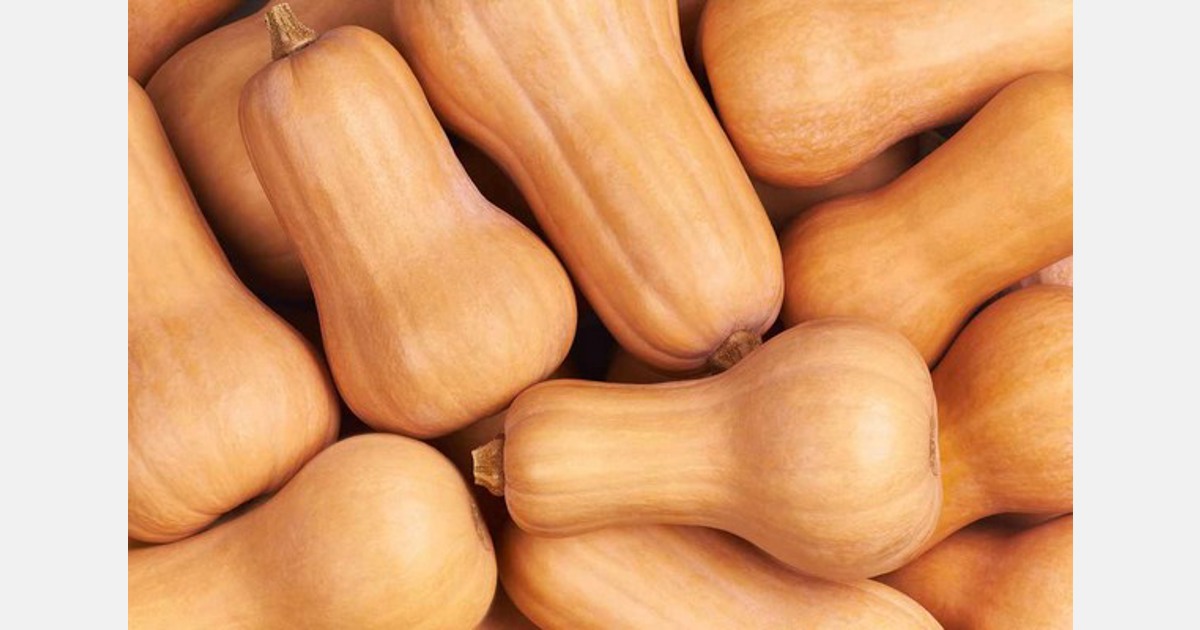 Innovating butternut production in South Africa