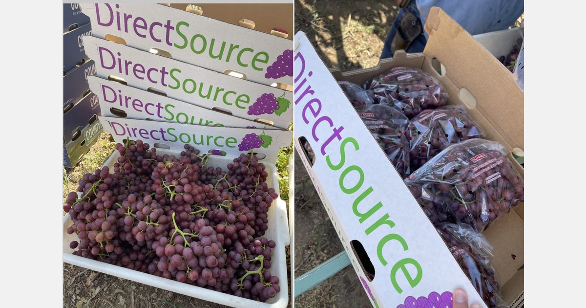 Extreme temperatures may impact start of San Joaquin table grape season