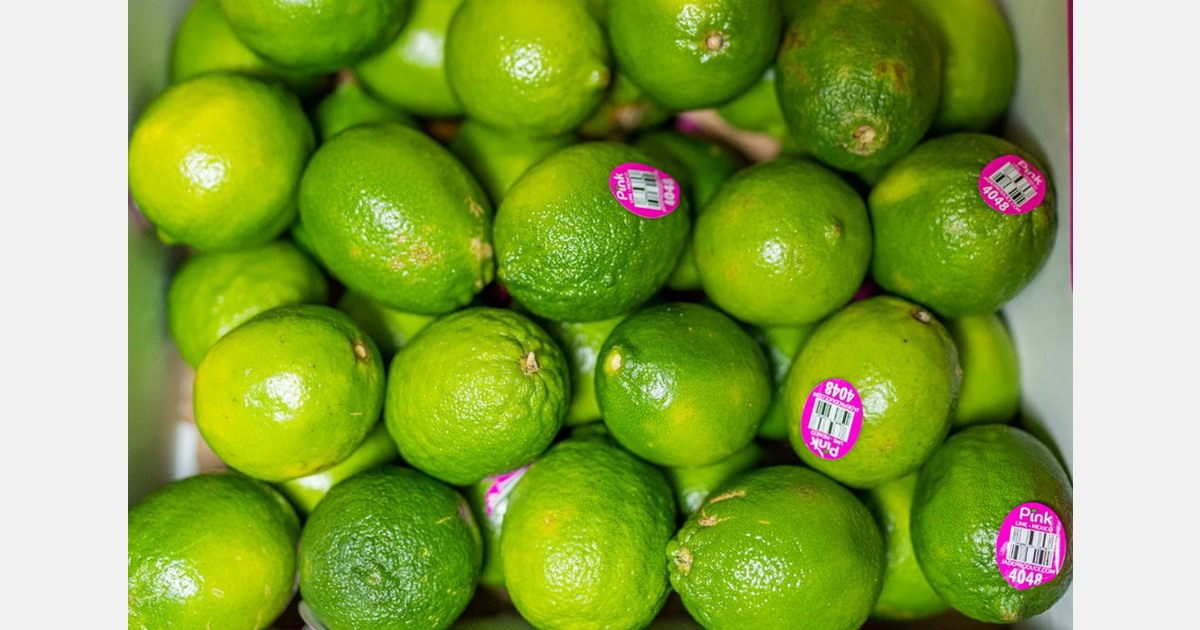 Lime pricing to strengthen this month