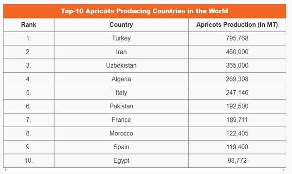 Exploring apricot production in Turkey
