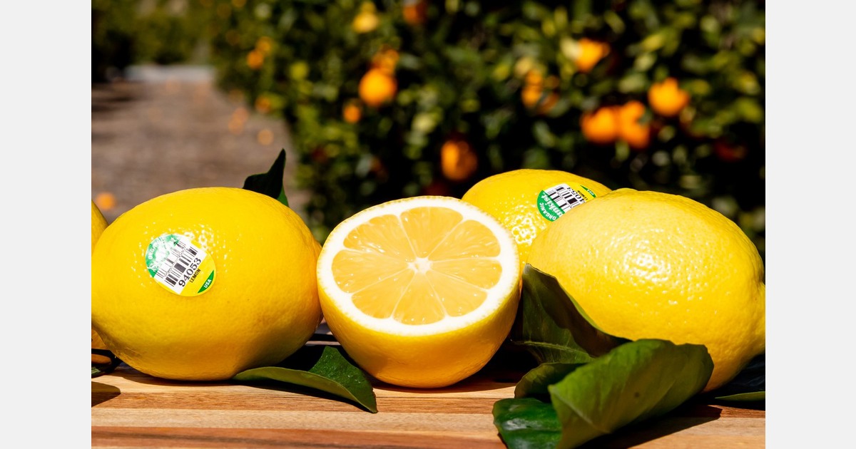 New packaging introduced on specialty citrus