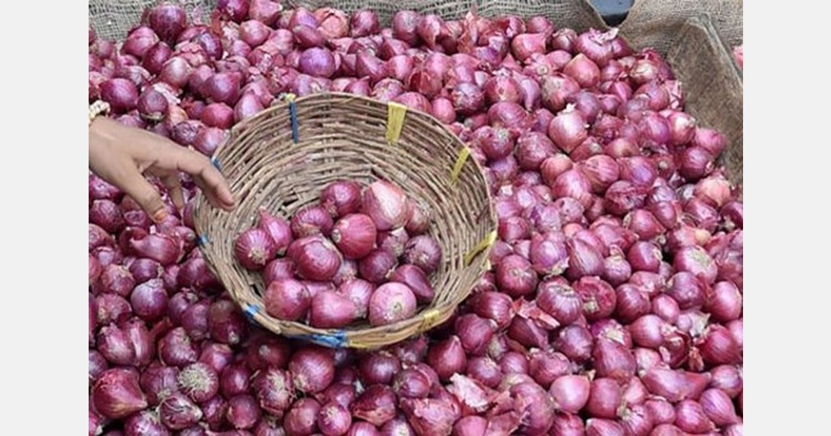 India's expenditure on onion procurement from Maharashtra expected to reach Rs 15 bln