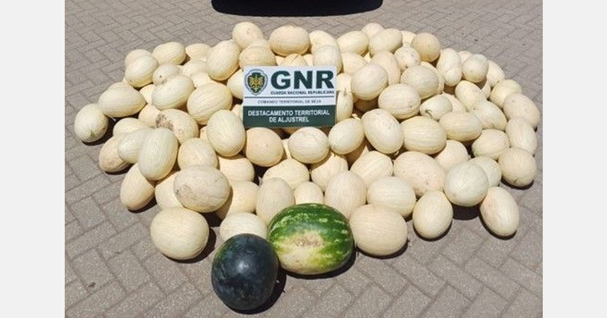 Police recovers more than 1 ton of stolen melons in Portugal's Alentejo ...