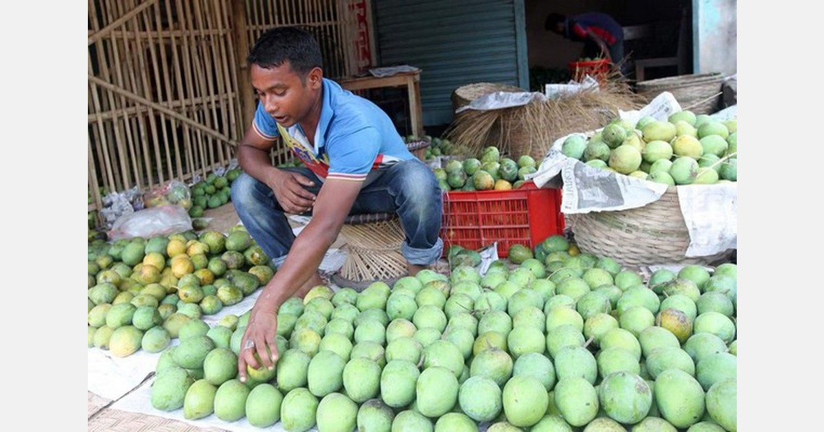 Haribhanga mango from Bangladesh gains global recognition