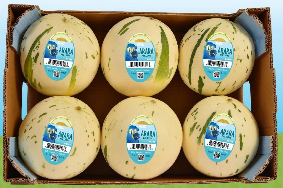 Brazilian melon producer to introduce new brand to U.S. market ...