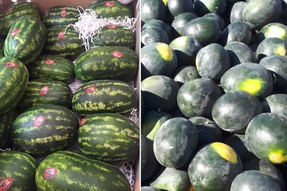 "The best way to bring Iranian watermelons into Europe is to buy them ...