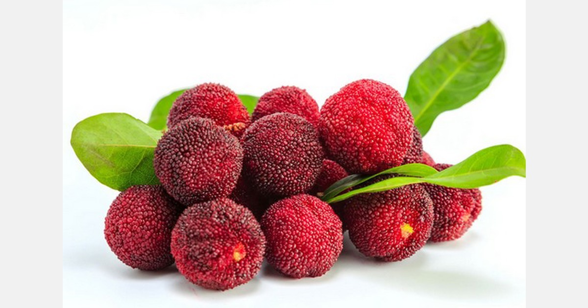 Chinese waxberries are reaching consumers internationally