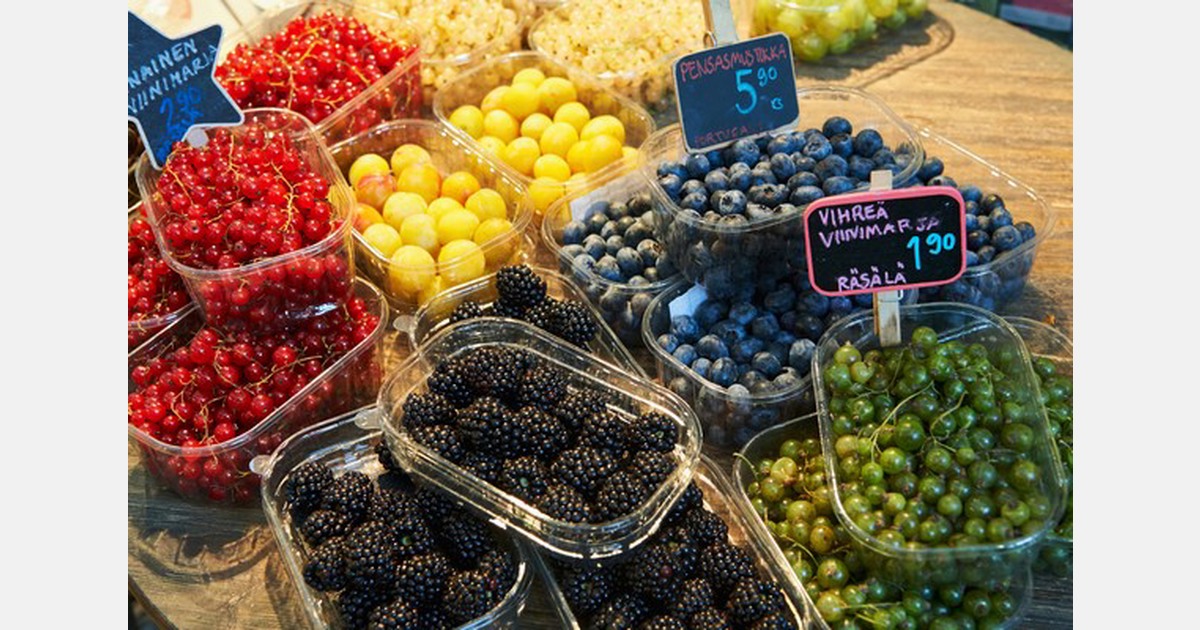 August brings peak berry and fruit harvest in Finland