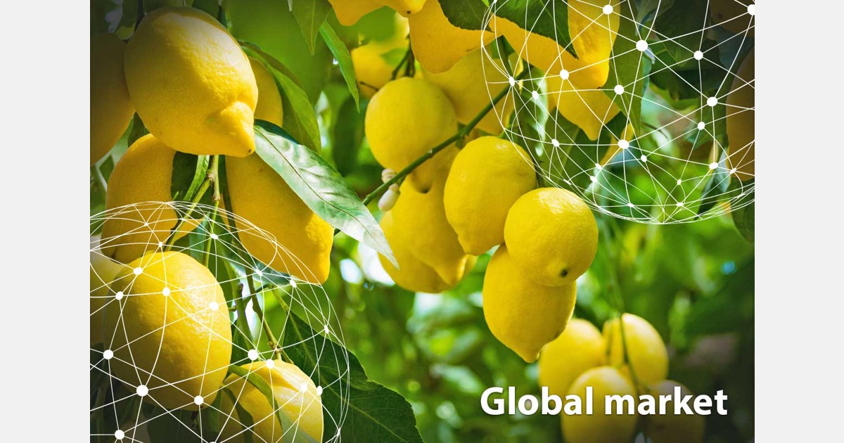 GLOBAL MARKET OVERVIEW LEMONS