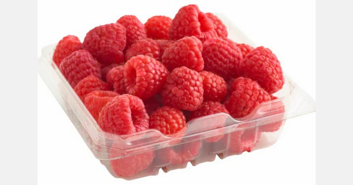 British raspberry forecast improves - despite challenging weather