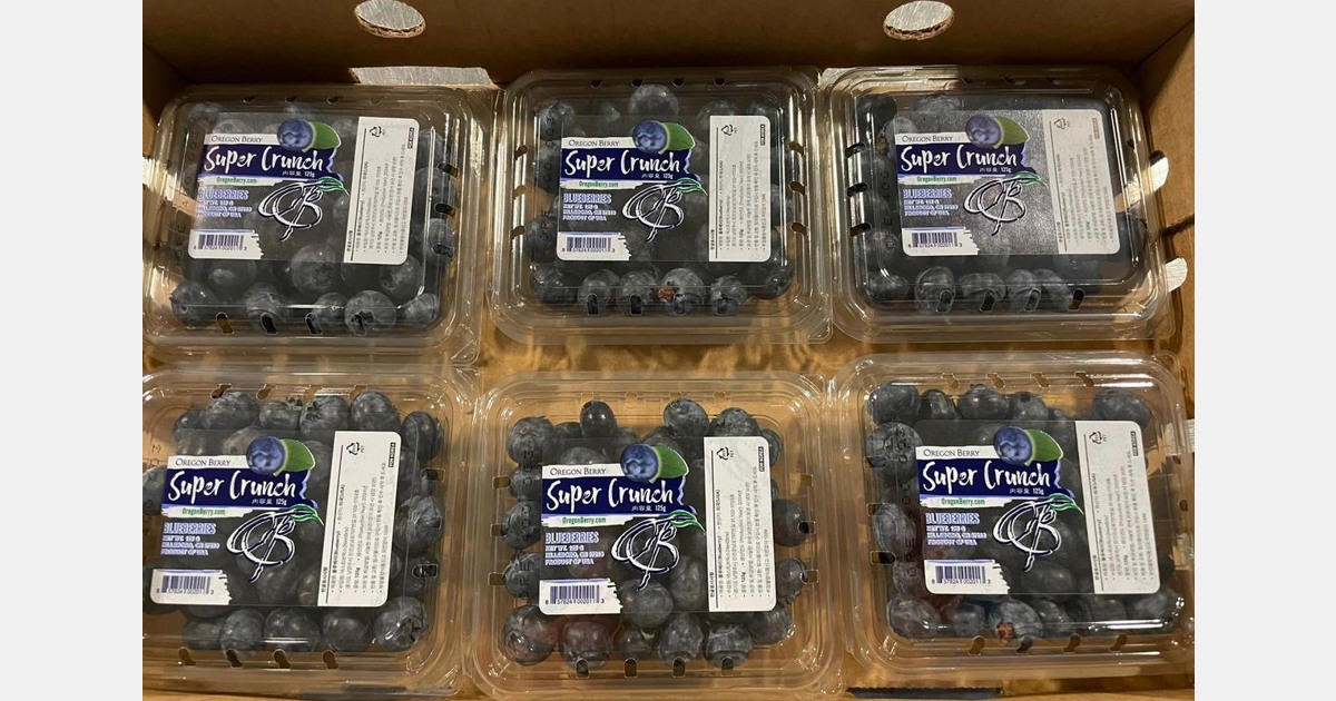 Pacific Northwest blueberry production up significantly from last year