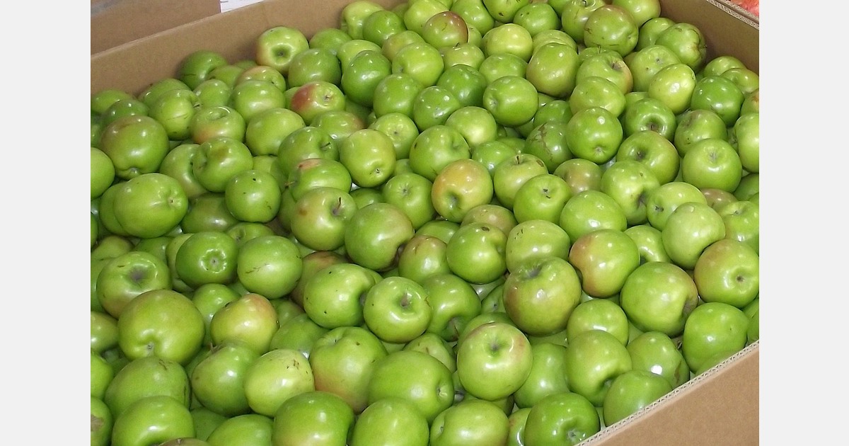 Fresh produce growth set to help Queensland agriculture commodities ...