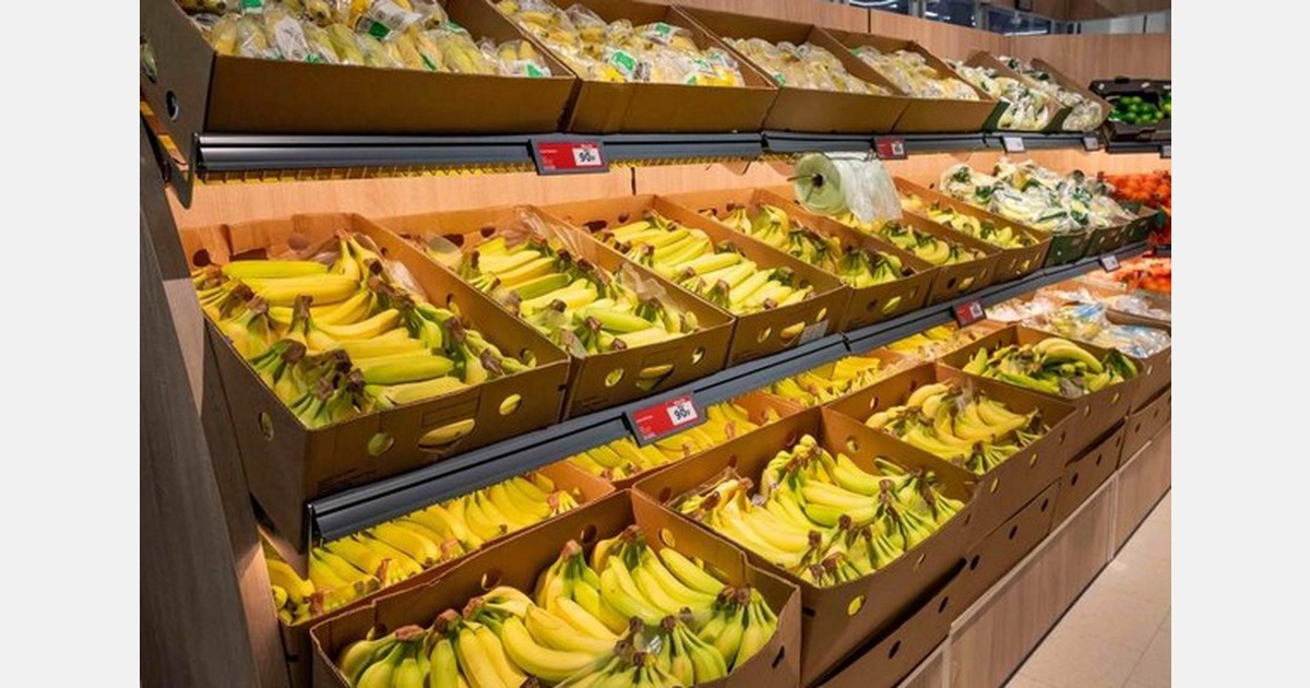 Lidl GB to launch industry-first tool to close living wage gap in ...