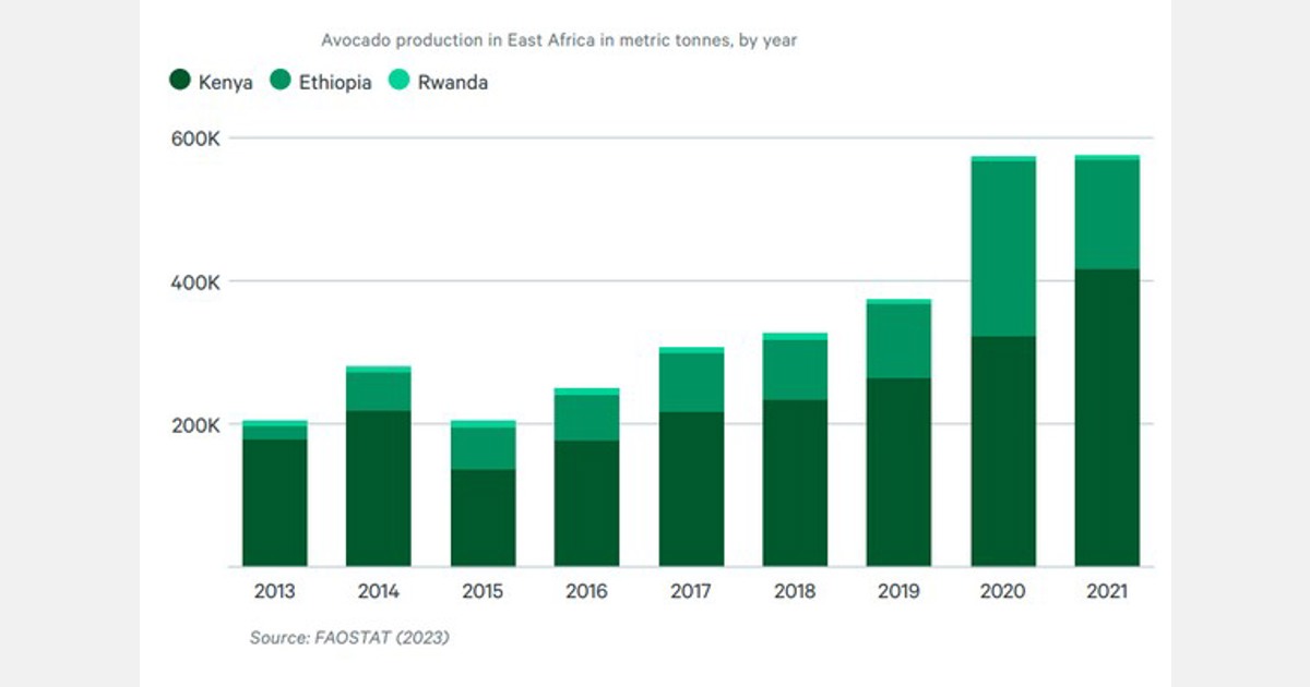 Challenges and opportunities for upgrading the avocado value chain in ...