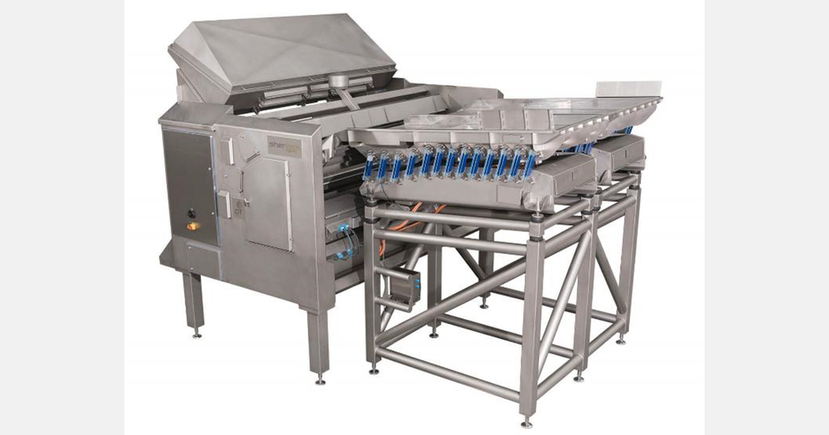 "Fresh French fries grader that uses hyperspectral technology launched"