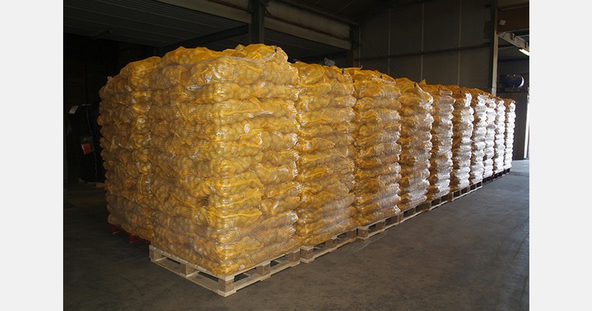 “High prices put the export market under pressure”