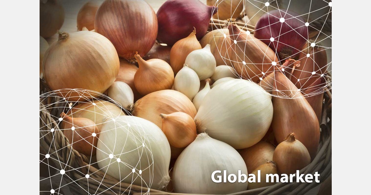 GLOBAL MARKET OVERVIEW ONIONS