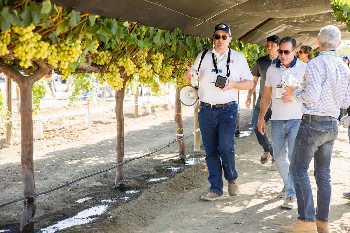 Sun World shares launch of new brands and success of Autumncrisp with ...