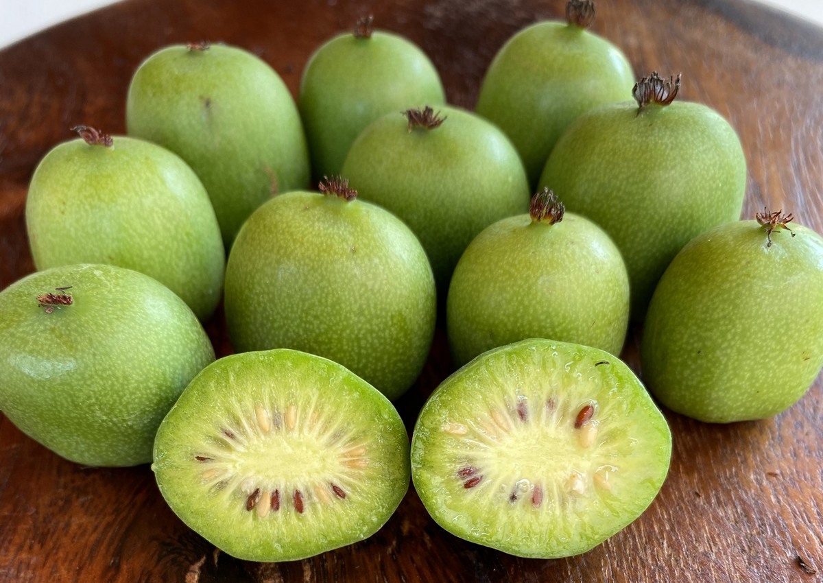 Kiwiberry is gaining in popularity in the European markets