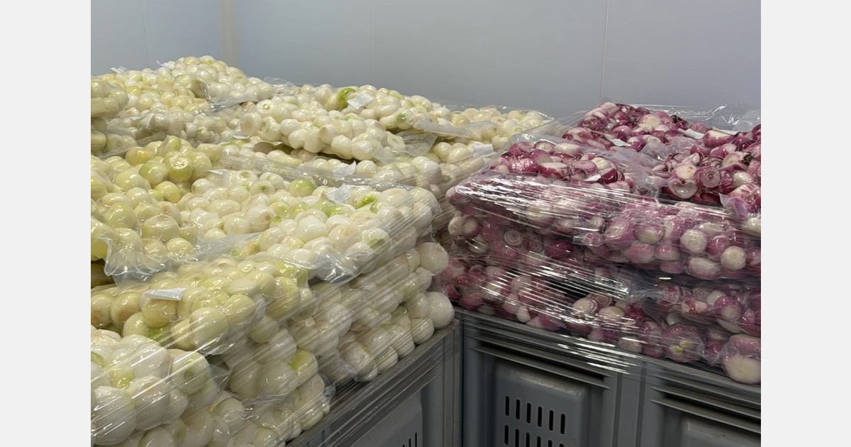 Greek onion season nears its end; low prospects for potatoes