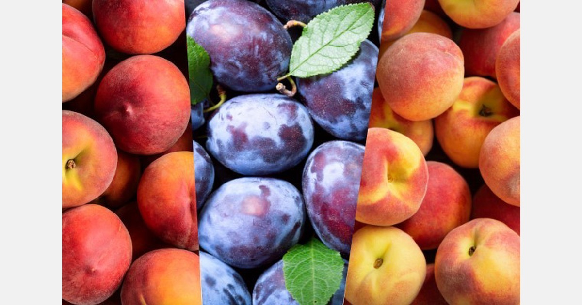 Last chance for quality Greek plums; peaches are already over