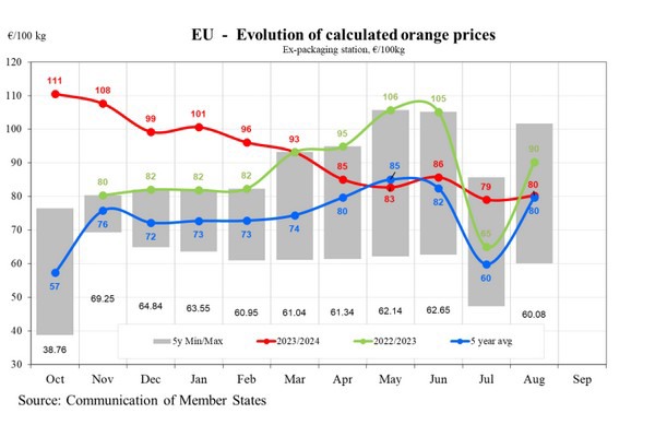 Orange prices in the EU in August 2024 came in at €80,21 per 100 kg