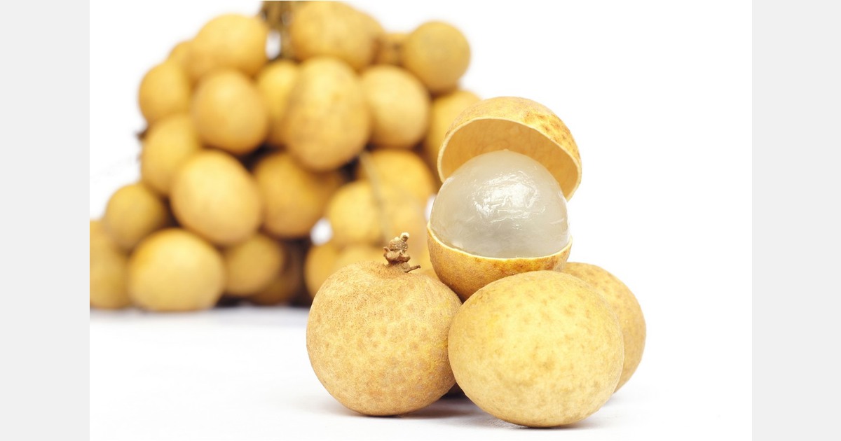 Navigating the complexities of Thailand's longan trade with China