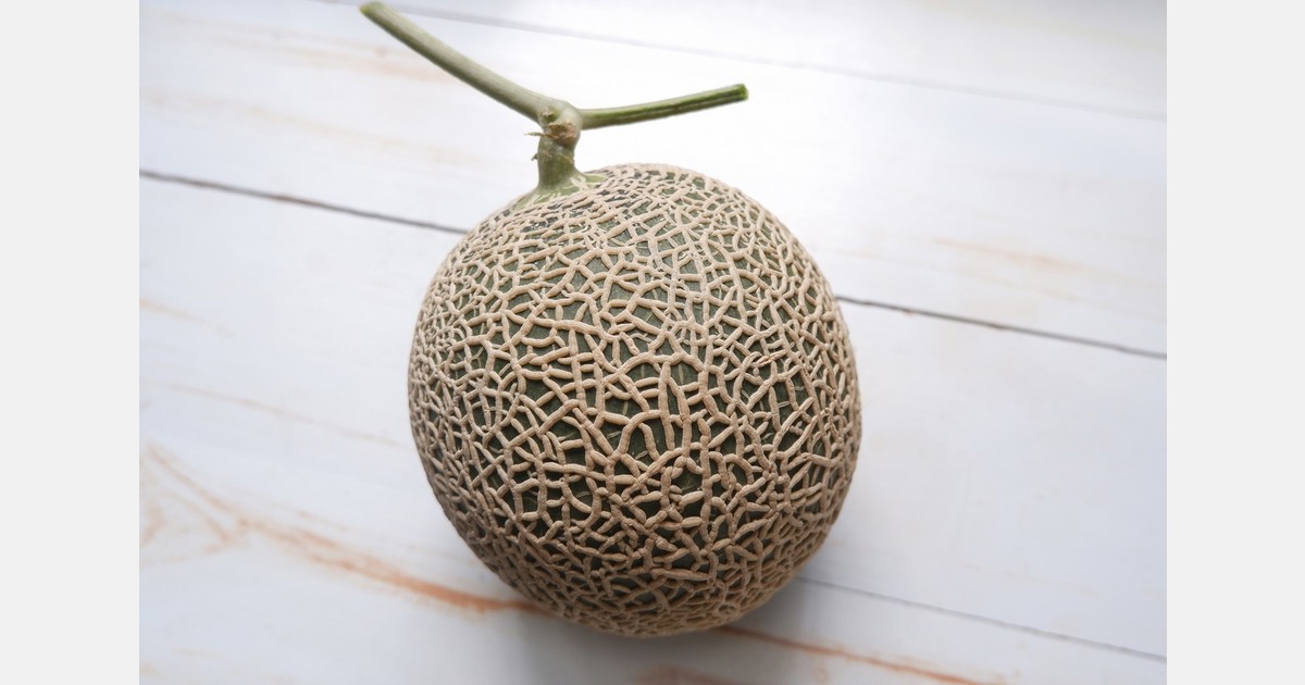 The Yubari King Melon: Japan's peak of fruit luxury at $30,000 a pair
