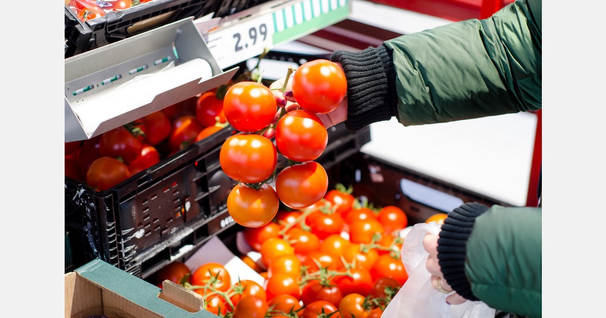 Lidl's investment in Malaga reaches 250 million euros