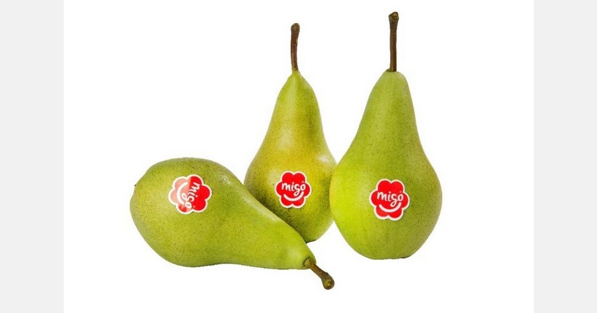 Branded pear kicks off new season with consumer campaign