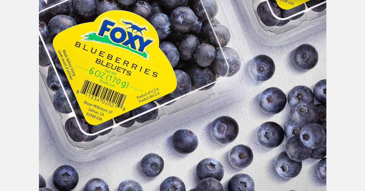 U.S. blueberry grower expands import program from South America