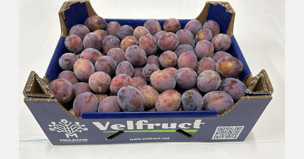 “We export apples and plums to ten EU countries, with three more planned”