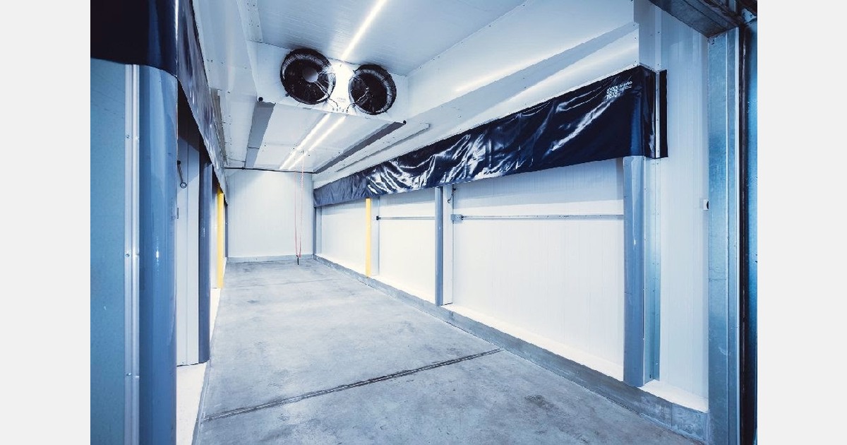 Interko's Optimo ripening rooms experience surging global demand amid ...