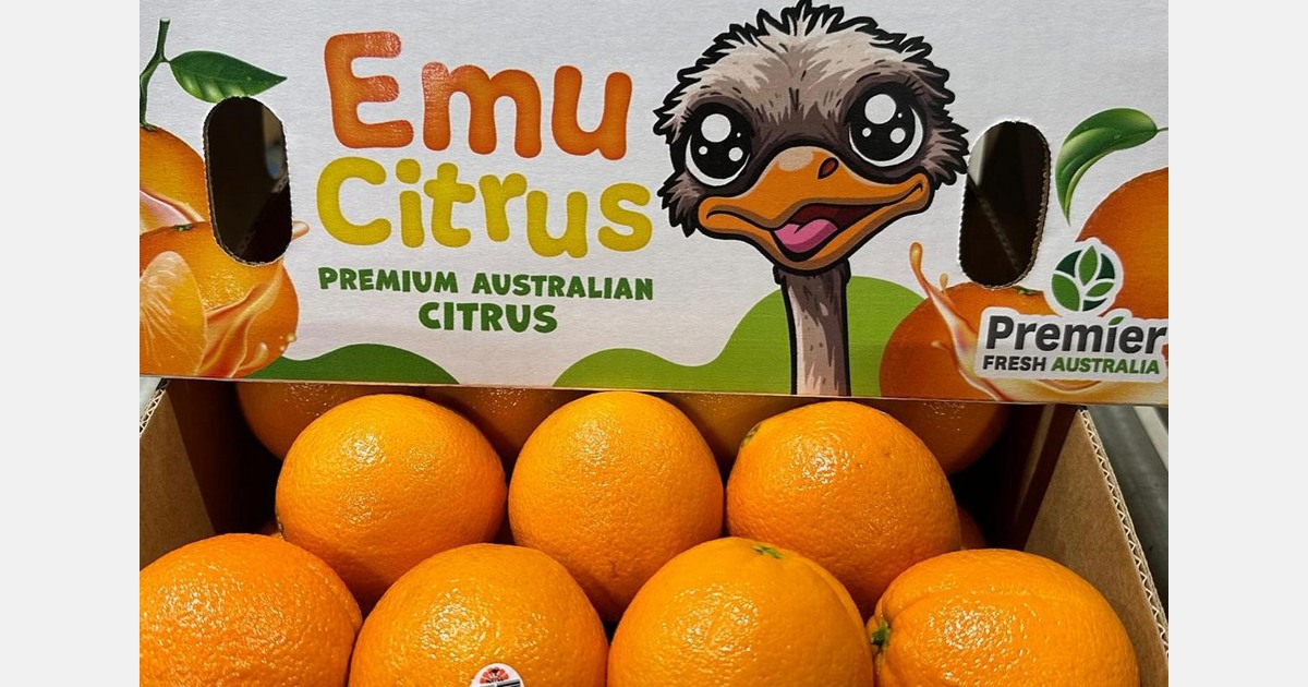 Successful launch of a new Australian citrus brand into global and ...