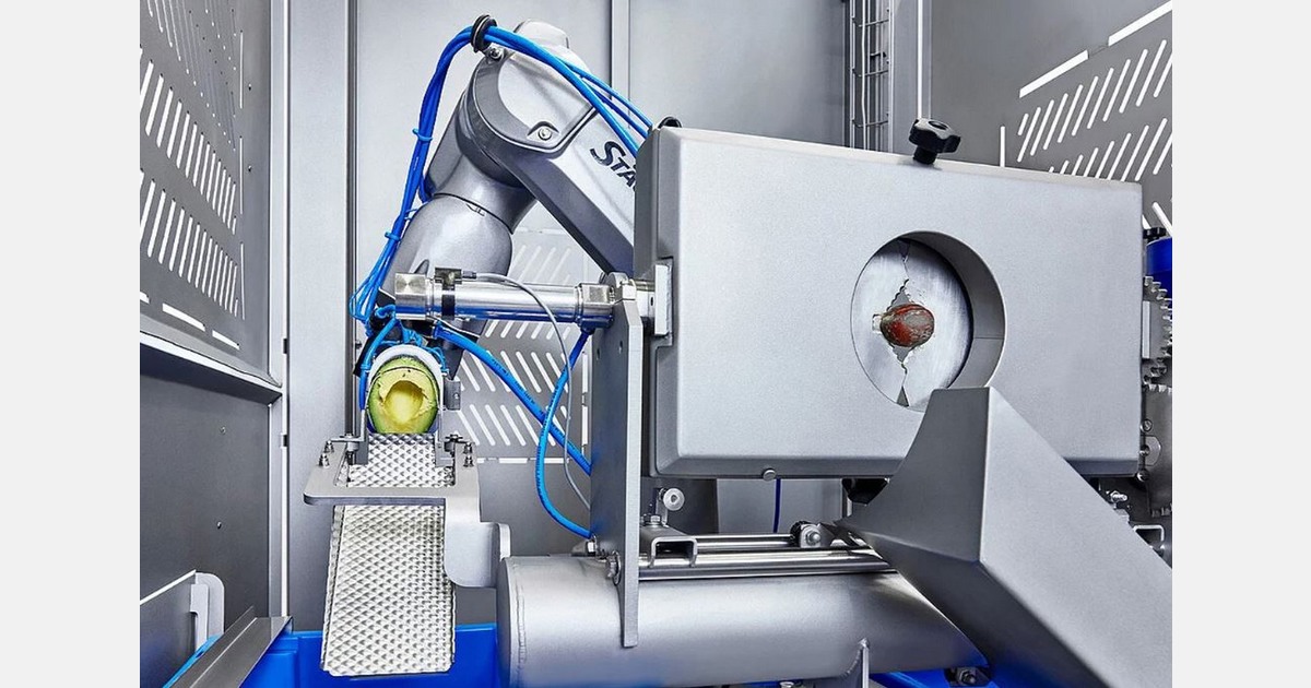 New robot avocado line adds automation to avocado processing