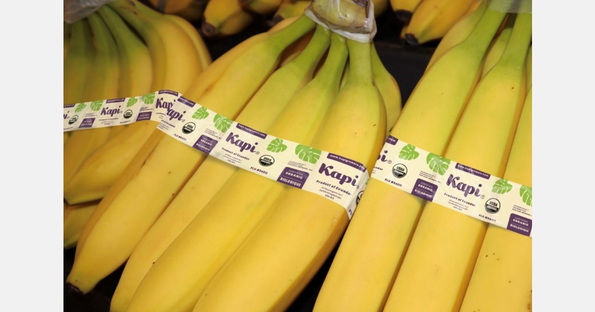 New organic banana program launches