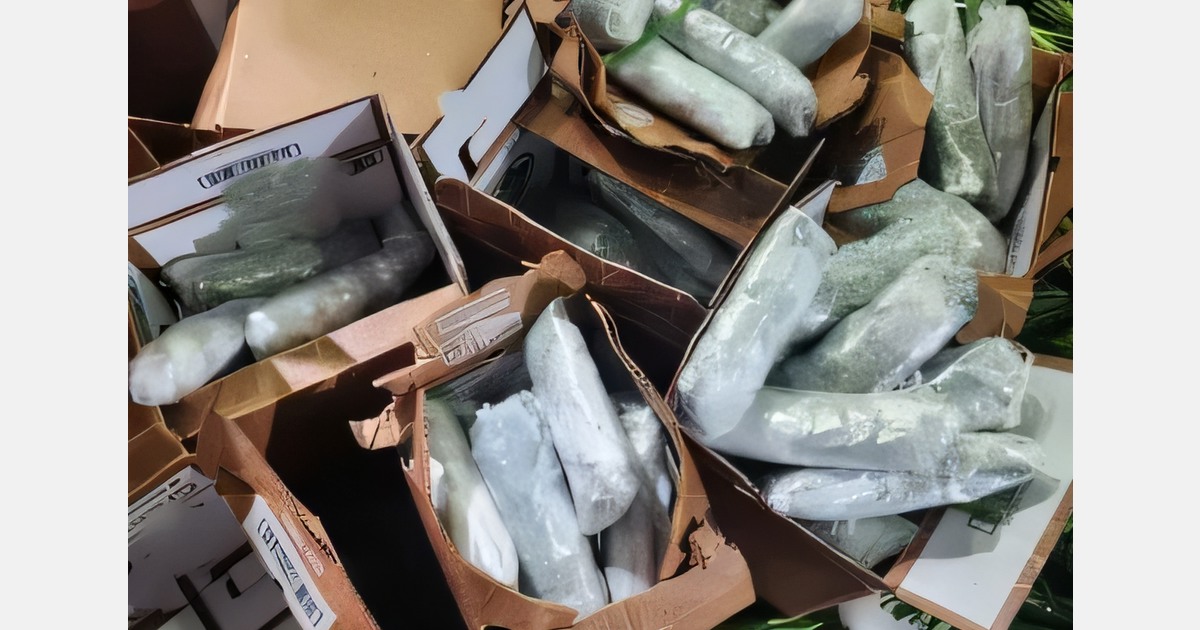 CBP seizes 646 pounds of meth in green onion shipment